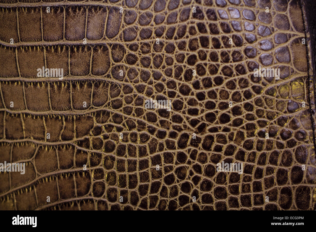 Toned genuine leather texture shot close-up Stock Photo - Alamy