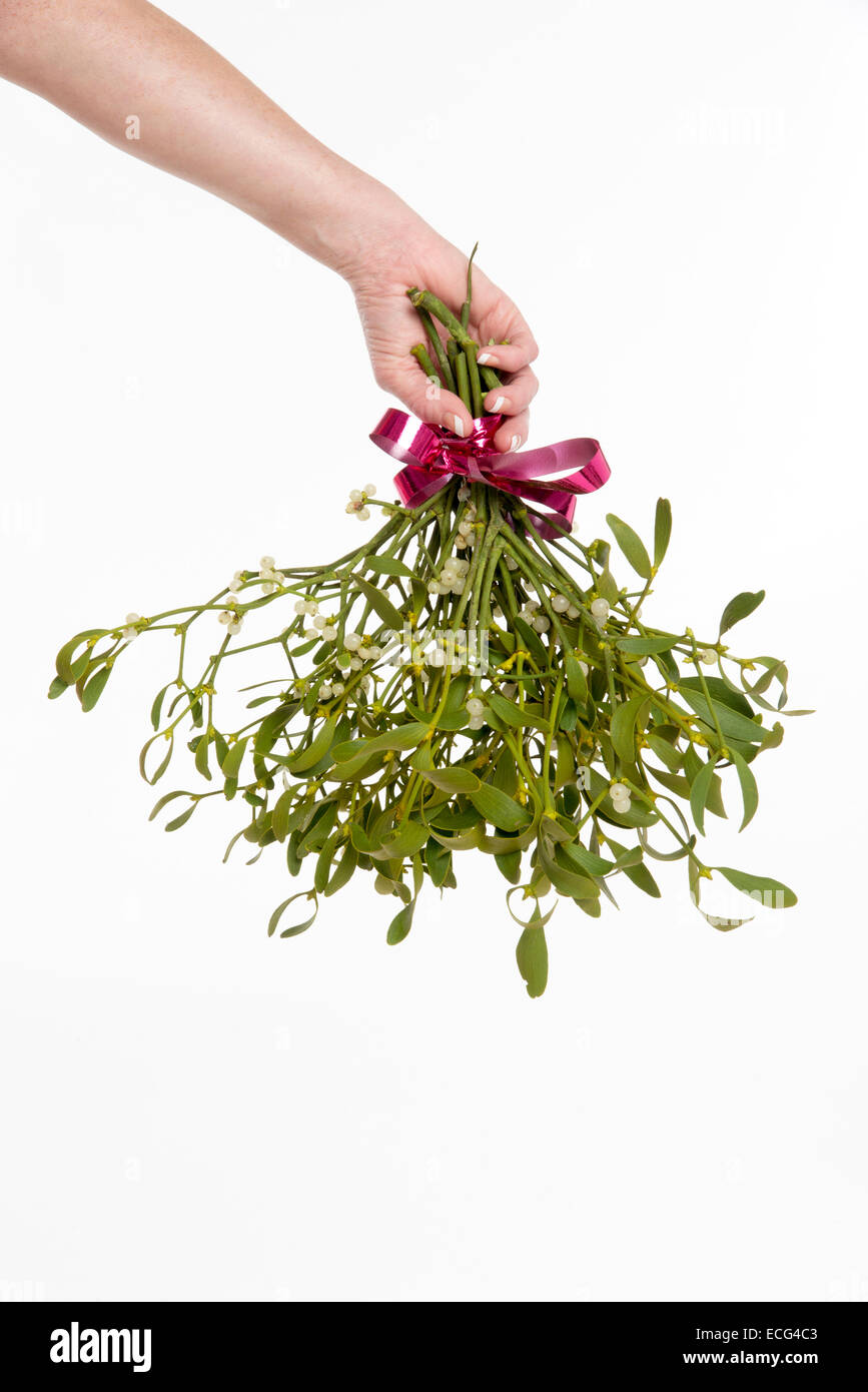 Hand tied mistletoe hi-res stock photography and images - Alamy