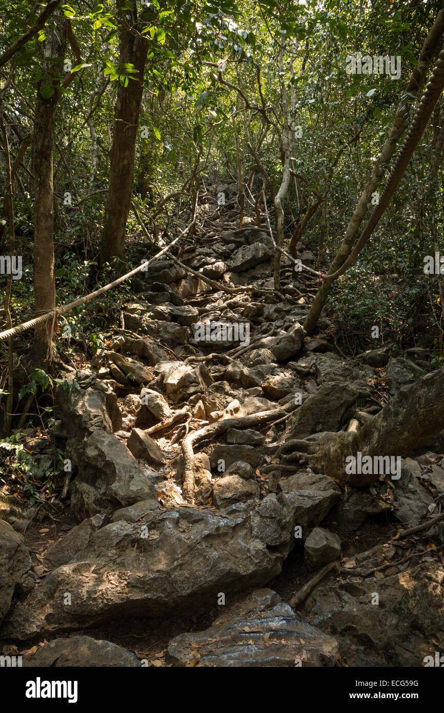 Rocky trail going upwards in the shade of trees at Wua Talap Island at ...