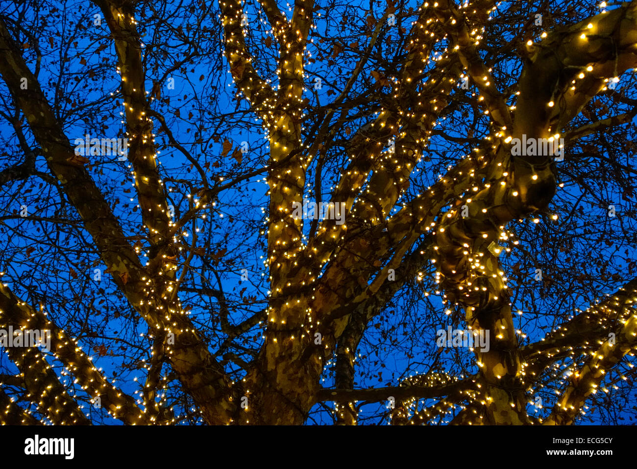 Decorated tree with lights at a Christmas market in Munich, Bavaria ...