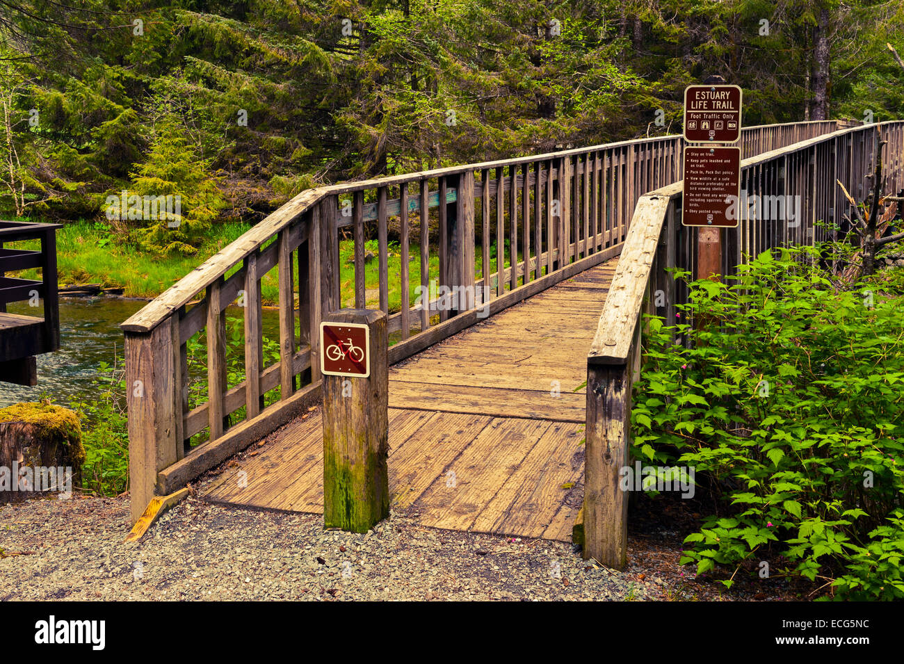 Walkway over Starrigavan River, Tongass National Forest, near Sitka ...