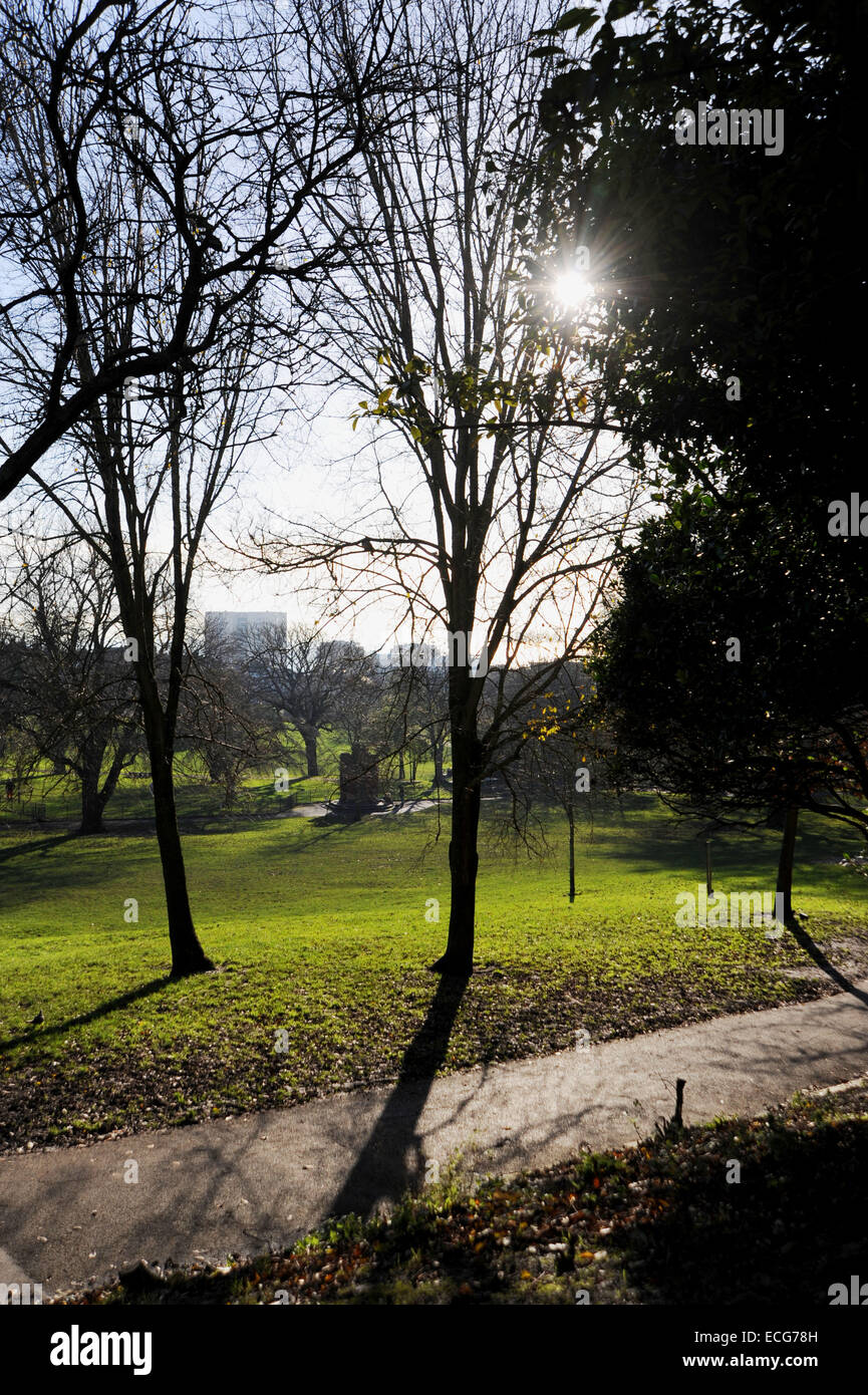 Brighton parks trees hi-res stock photography and images - Alamy