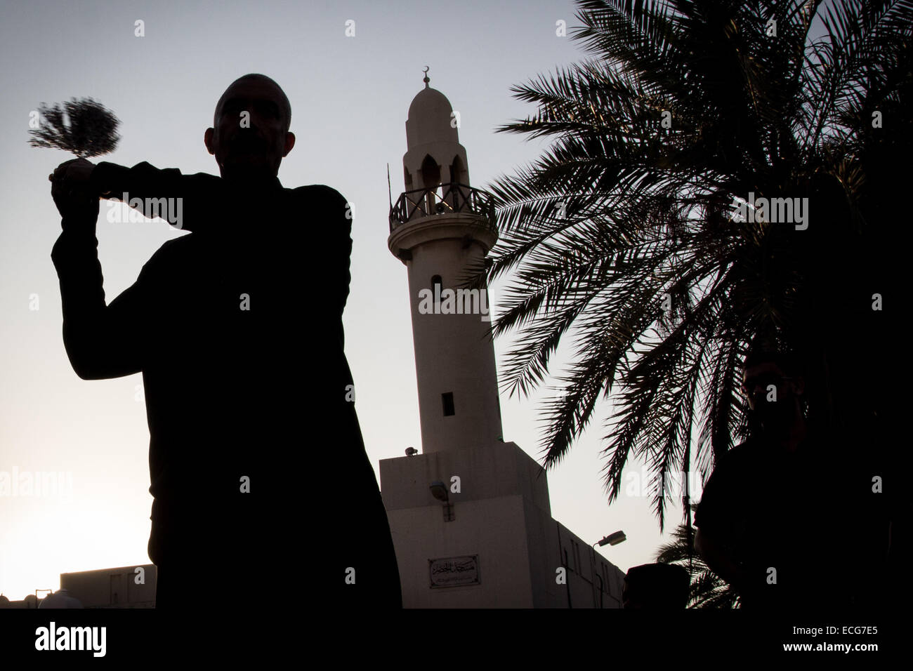 Male Shia Muslims take part in ceremonial chest beating parade as a ...