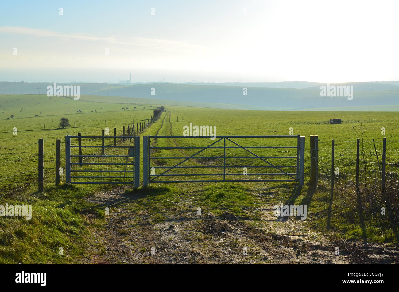 Open countryside on the Sussex South Downs hill range in England during ...