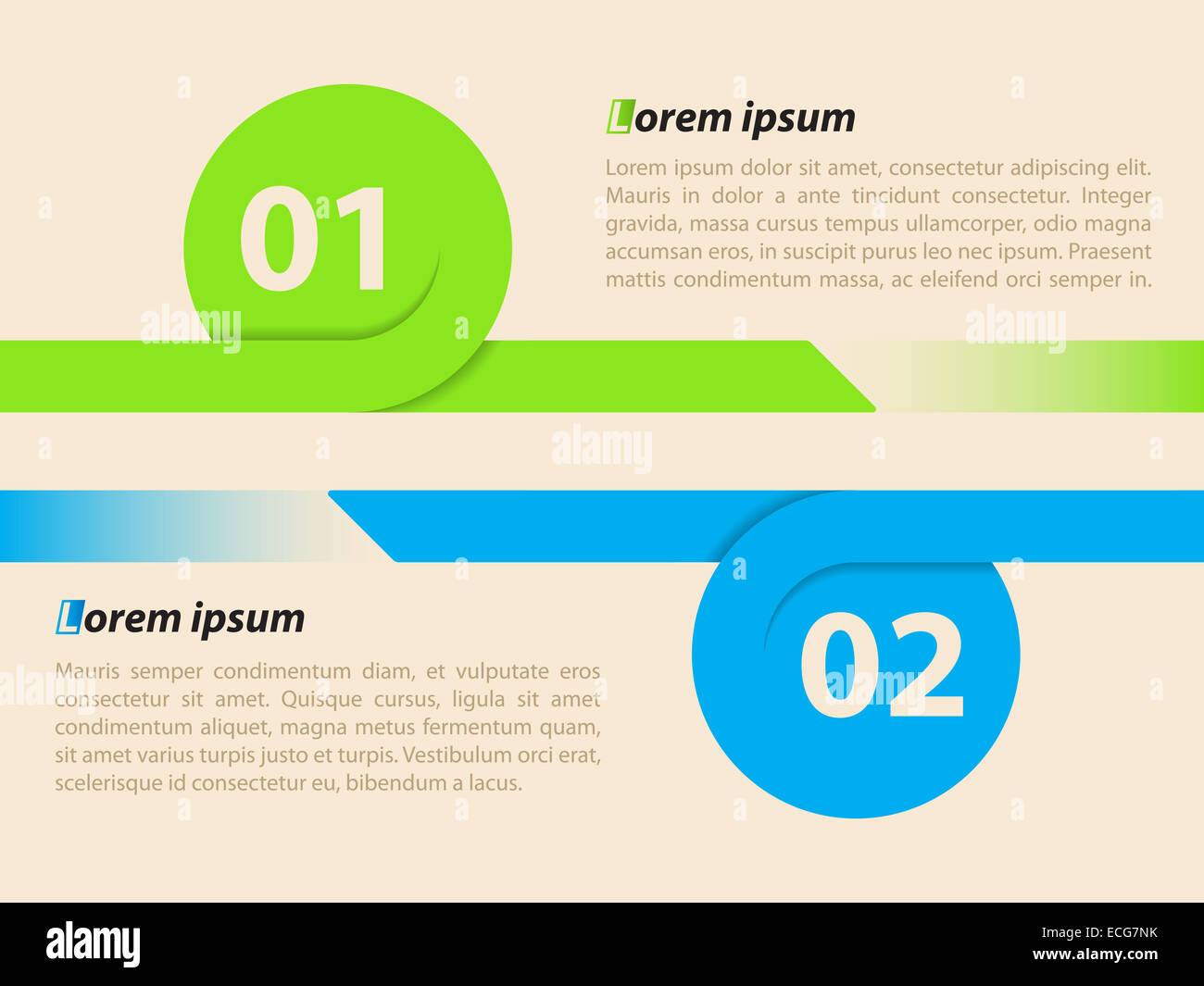 Curling ribbon infographic template with 2 options and details Stock ...
