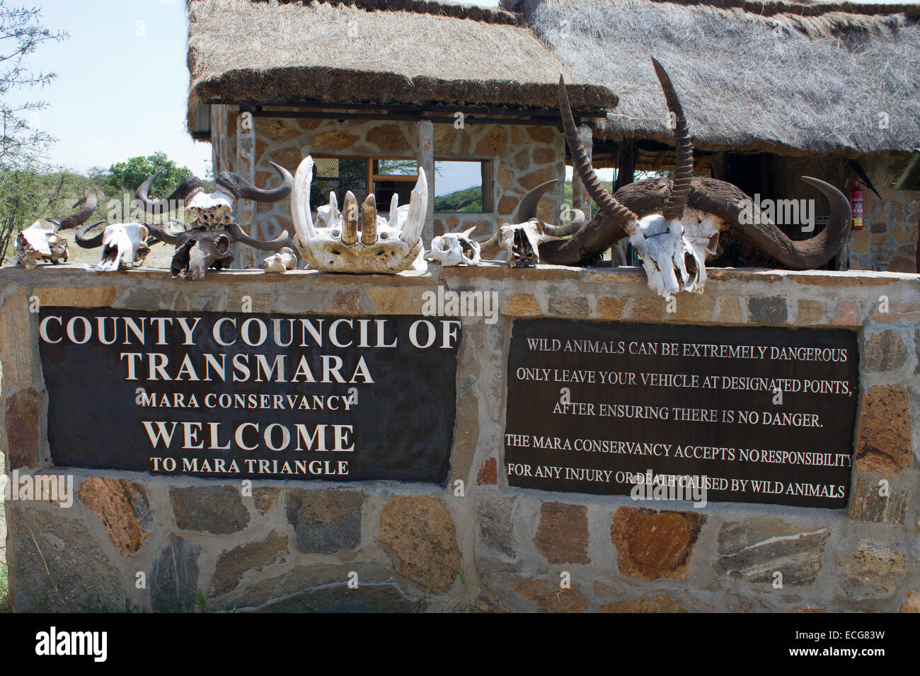Welcome to the Mara Triangle Stock Photo - Alamy