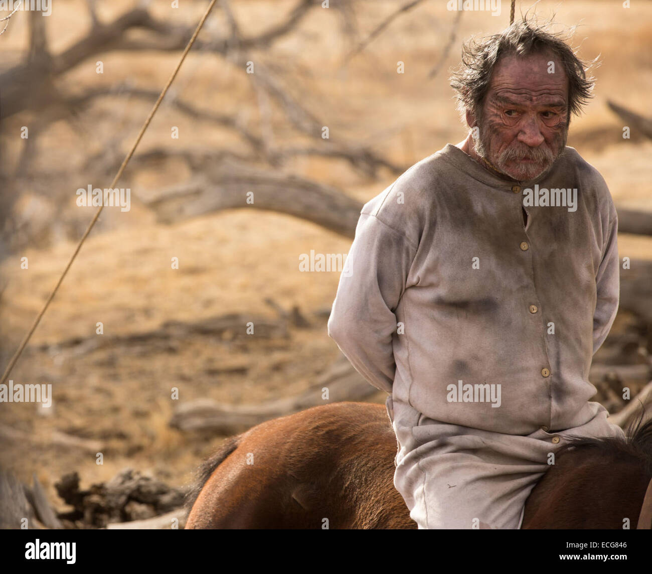 The Homesman is a 2014 American period drama film set in the 1850s ...