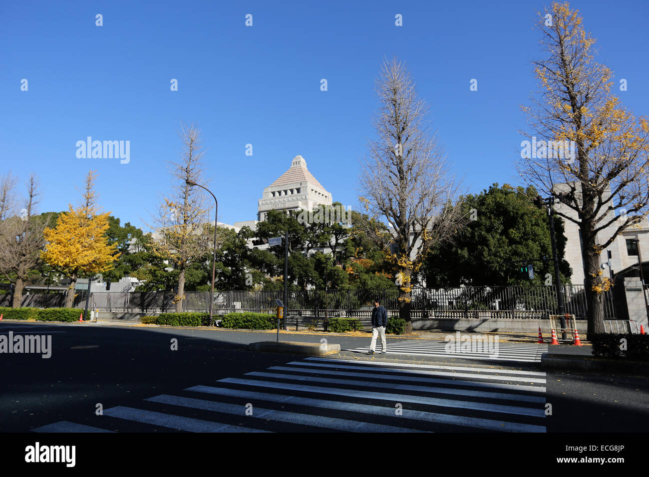 Saturday. 13th Dec, 2014. A man crosses a street in front of Japan's ...
