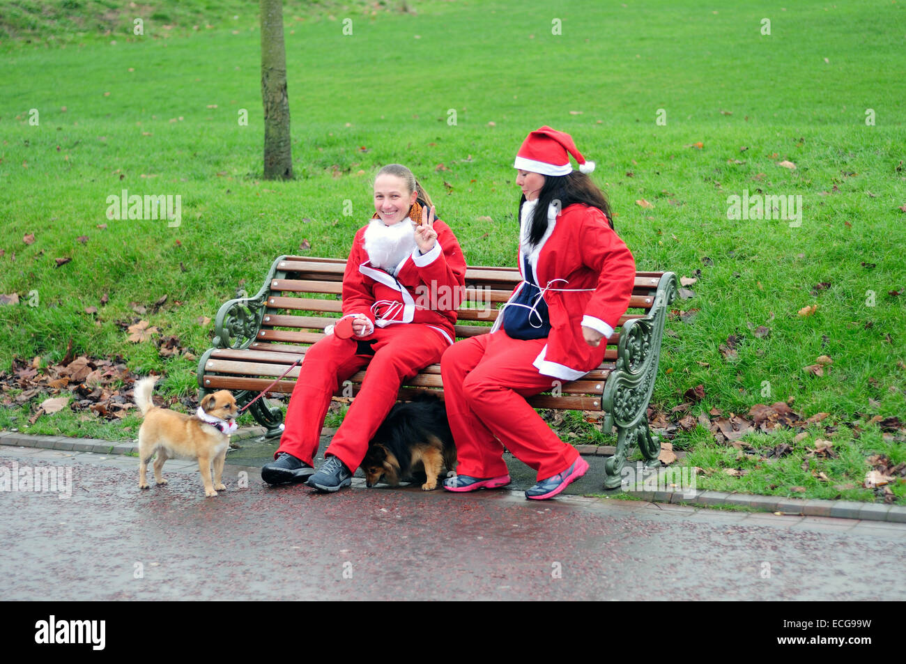 Nottingham Forest Bench High Resolution Stock Photography and Images ...