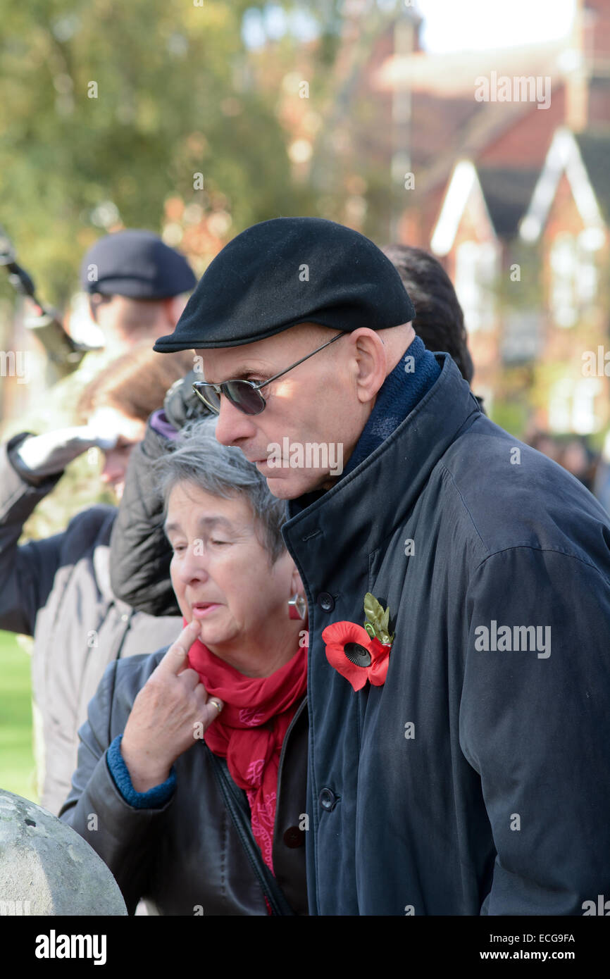Remembrance Day Parade - public paying respects Stock Photo - Alamy