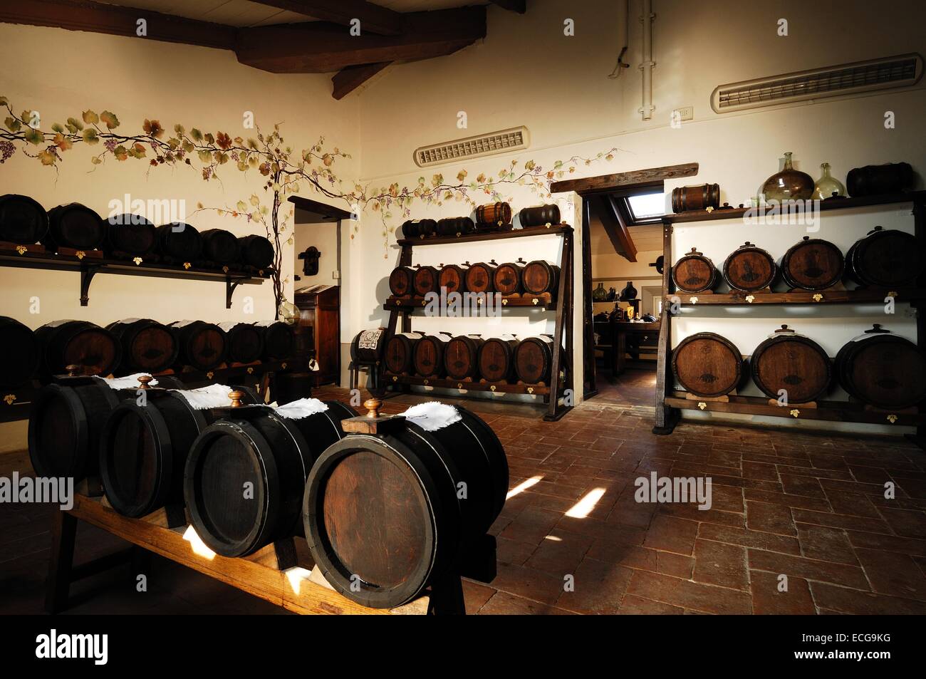 Modena Balsamic Vinegar Aceto Acetaia Balsamico di Modena Stock Photo ...