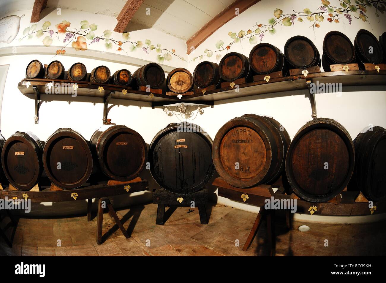 Modena Balsamic Vinegar Aceto Acetaia Balsamico di Modena Stock Photo ...