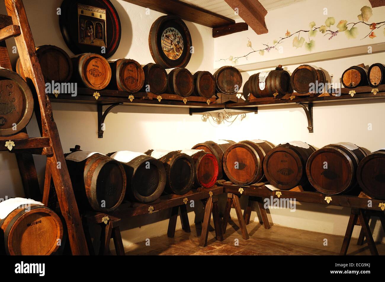 Modena Balsamic Vinegar Aceto Acetaia Balsamico di Modena Stock Photo ...