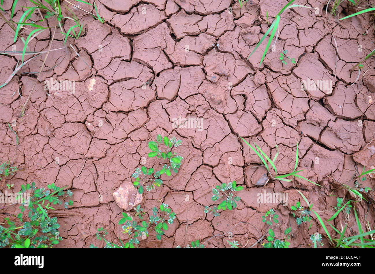Dry Land Background Stock Photo - Alamy