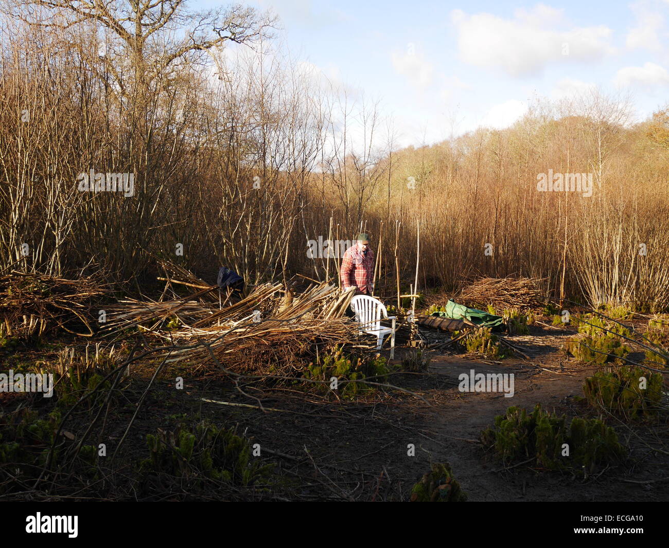 Hurdle making hi-res stock photography and images - Alamy