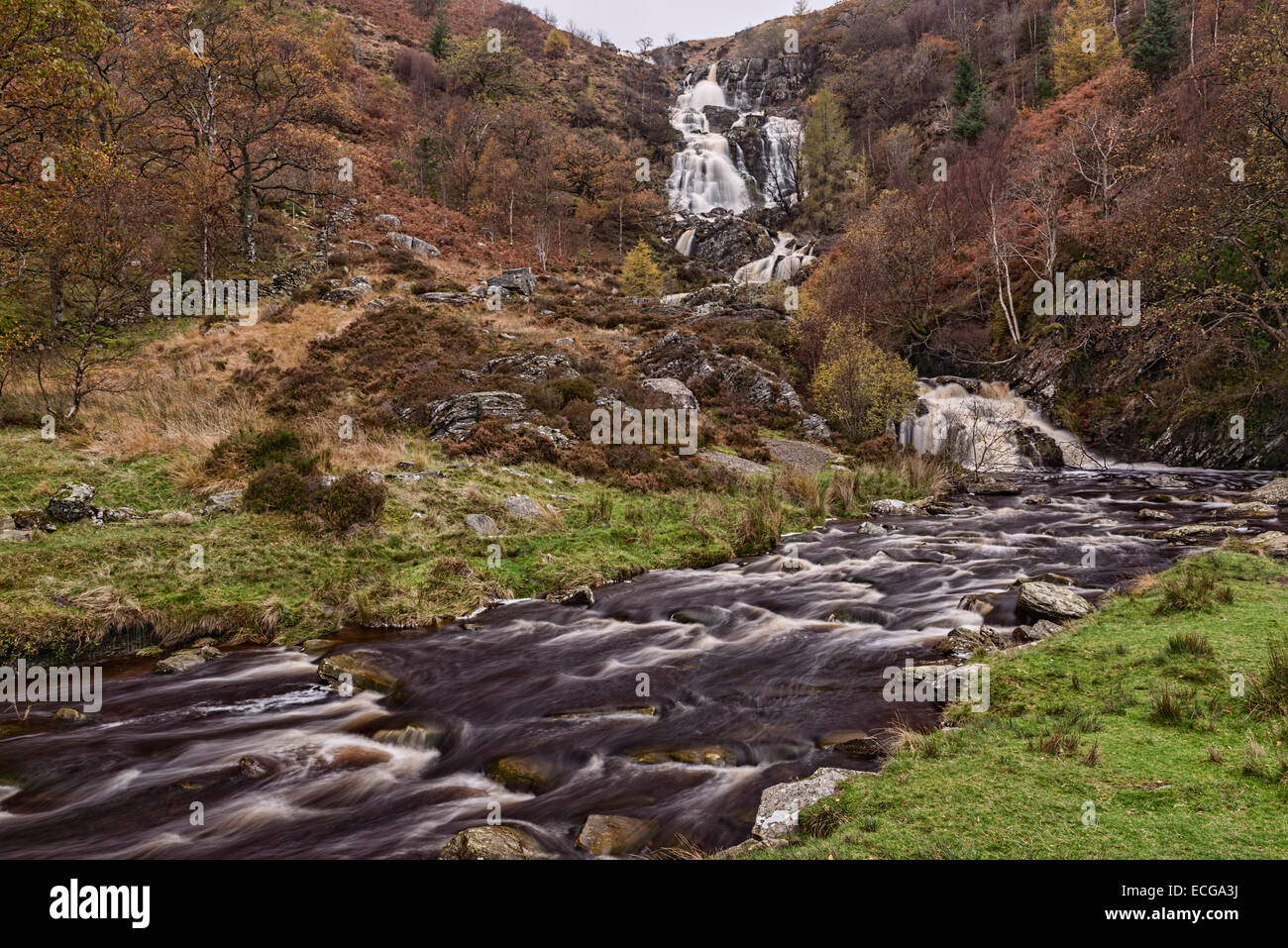 Afon eiddew hi-res stock photography and images - Alamy