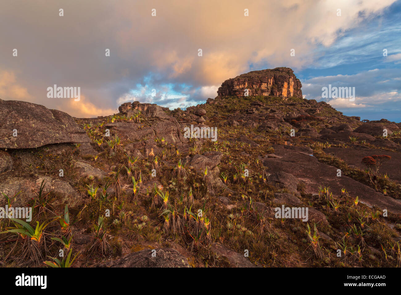 Mount roraima clouds hi-res stock photography and images - Alamy