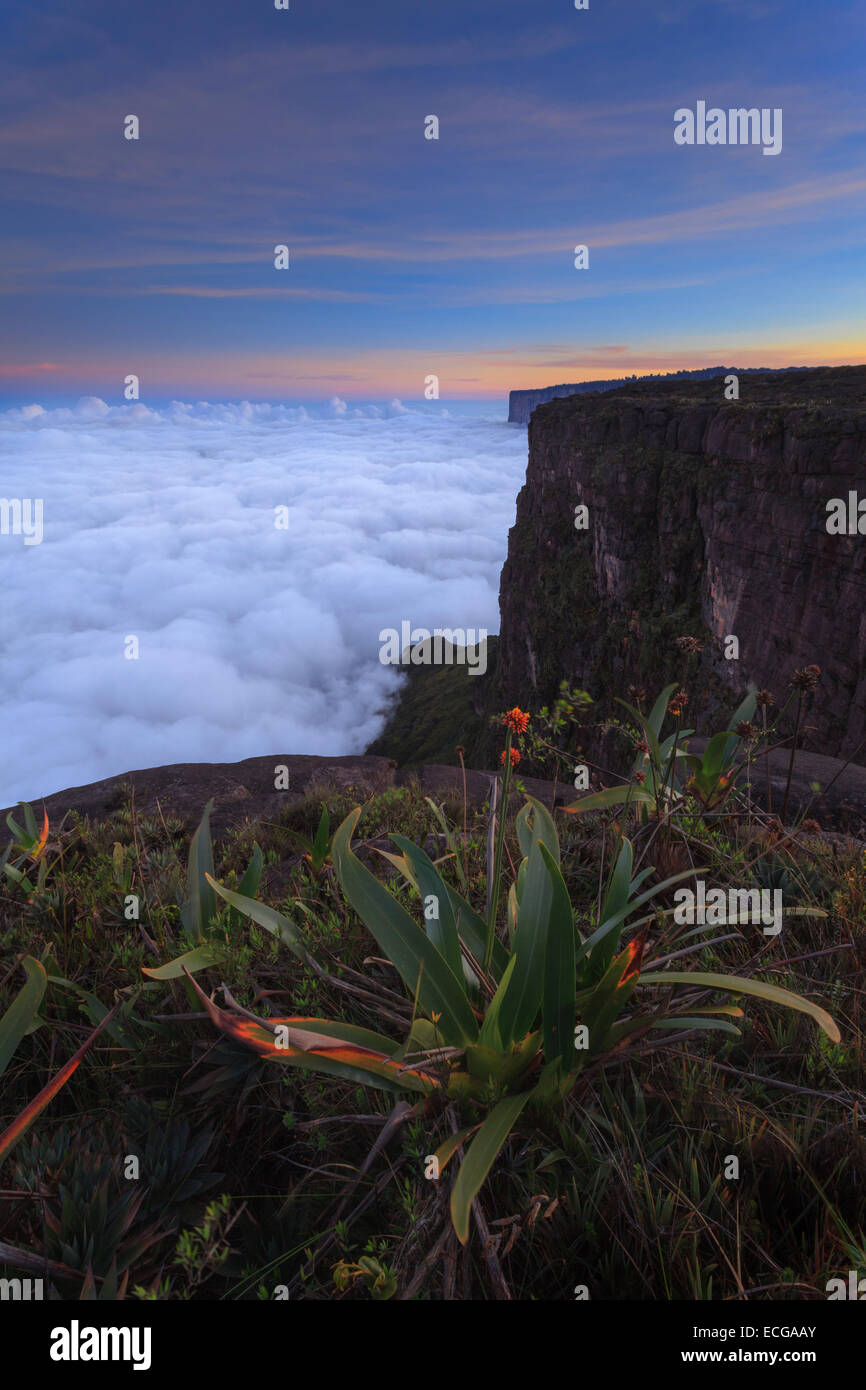 Roraima mountain hi-res stock photography and images - Alamy