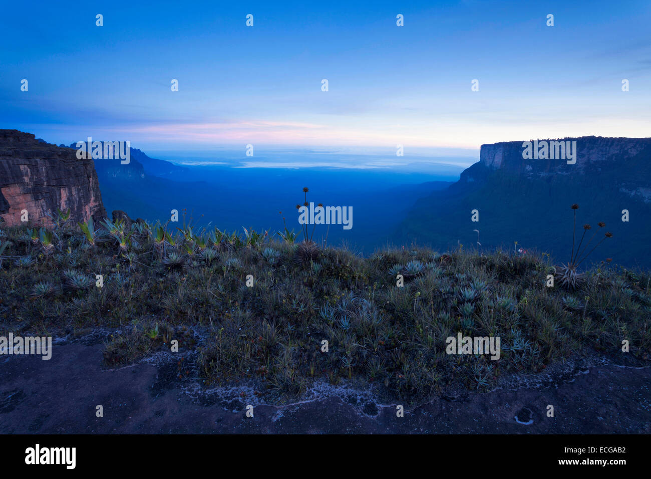 Roraima mountain hi-res stock photography and images - Alamy