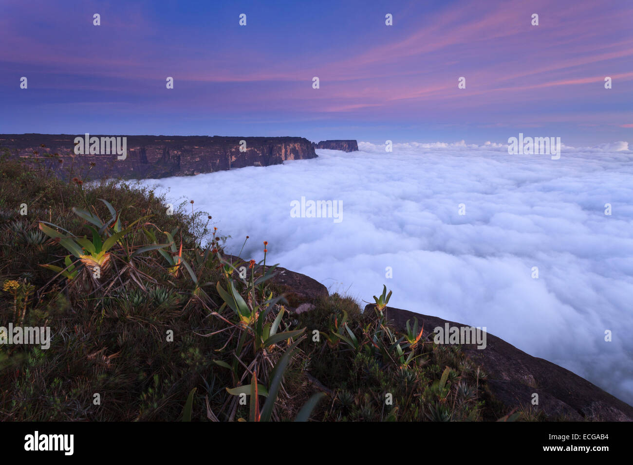 Roraima mountain hi-res stock photography and images - Alamy