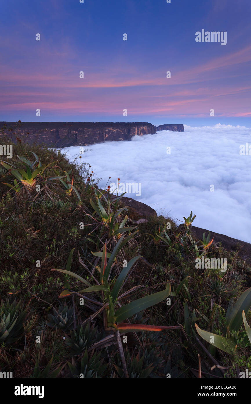 Roraima mountain hi-res stock photography and images - Alamy