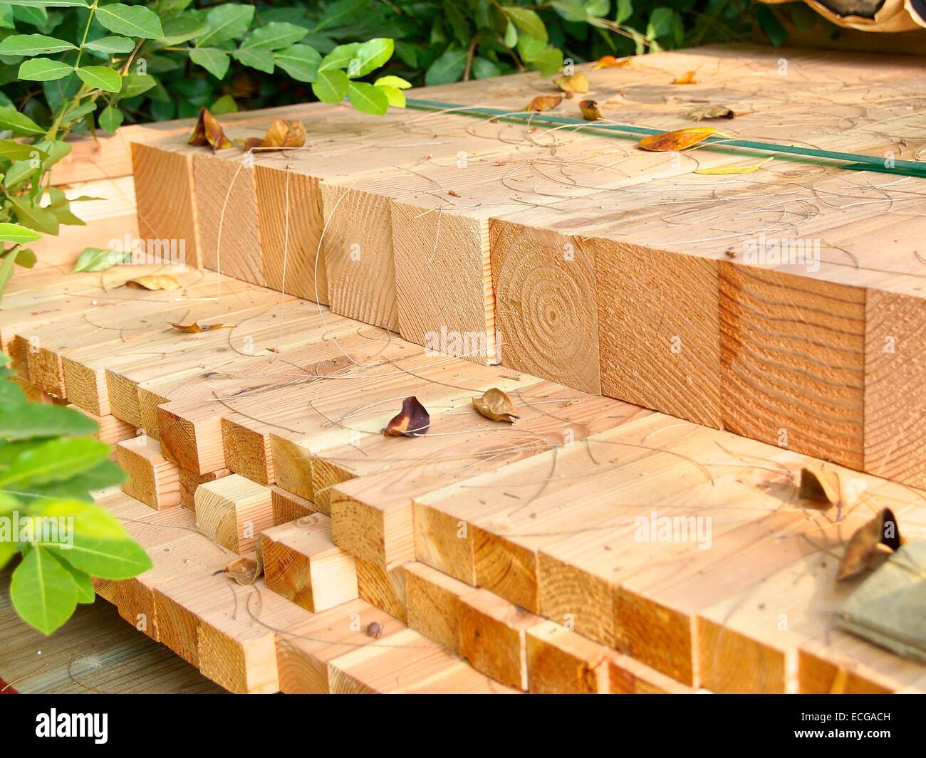 The closeup of wooden boards at construction site Stock Photo - Alamy
