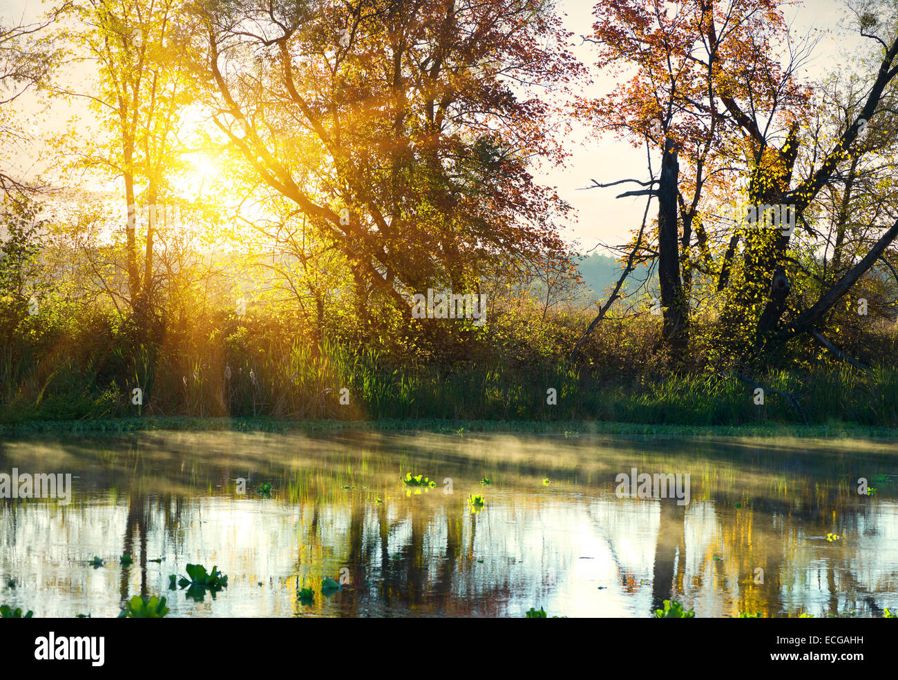 Calm and bright color hi-res stock photography and images - Alamy