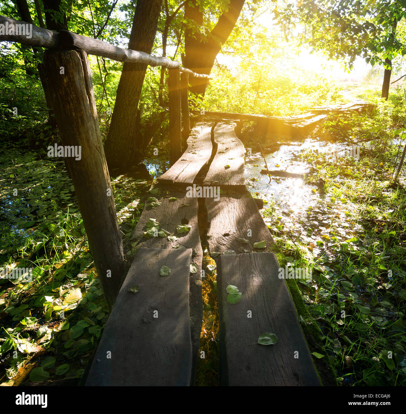 Beautiful little bridge hi-res stock photography and images - Alamy