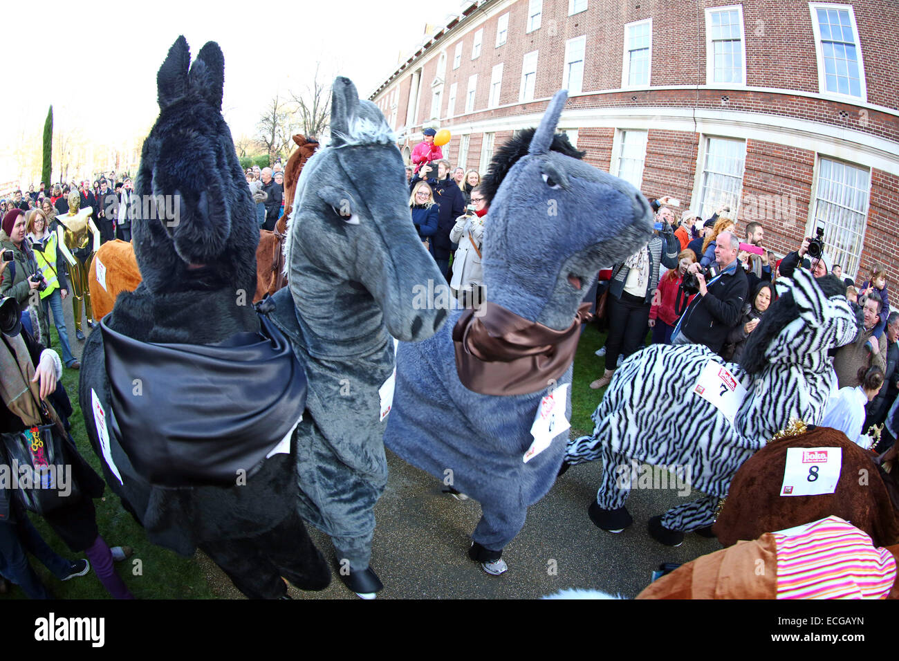 Pantomime horse hi-res stock photography and images - Alamy