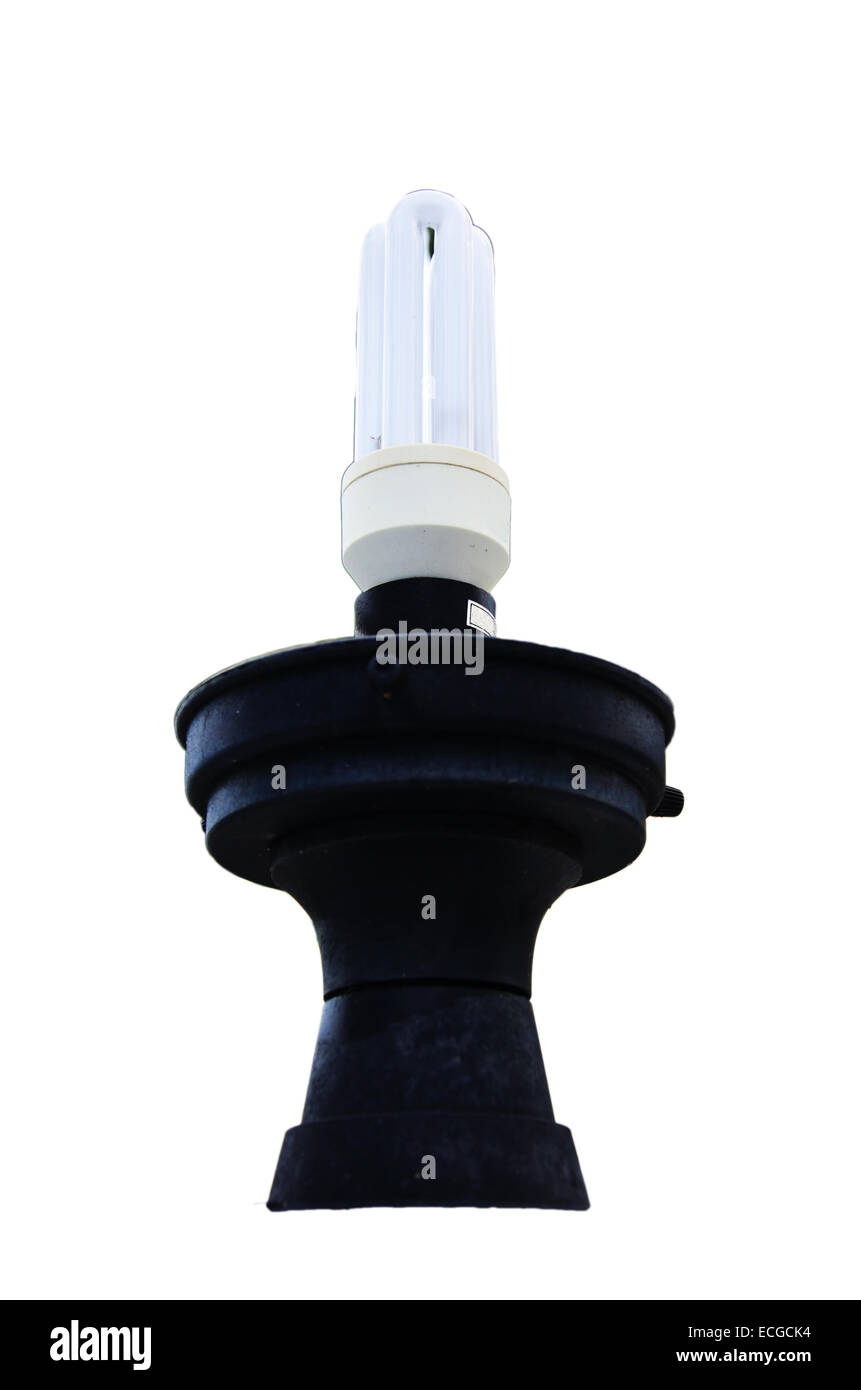 Compact Fluorescent Lamp Stock Photo - Alamy