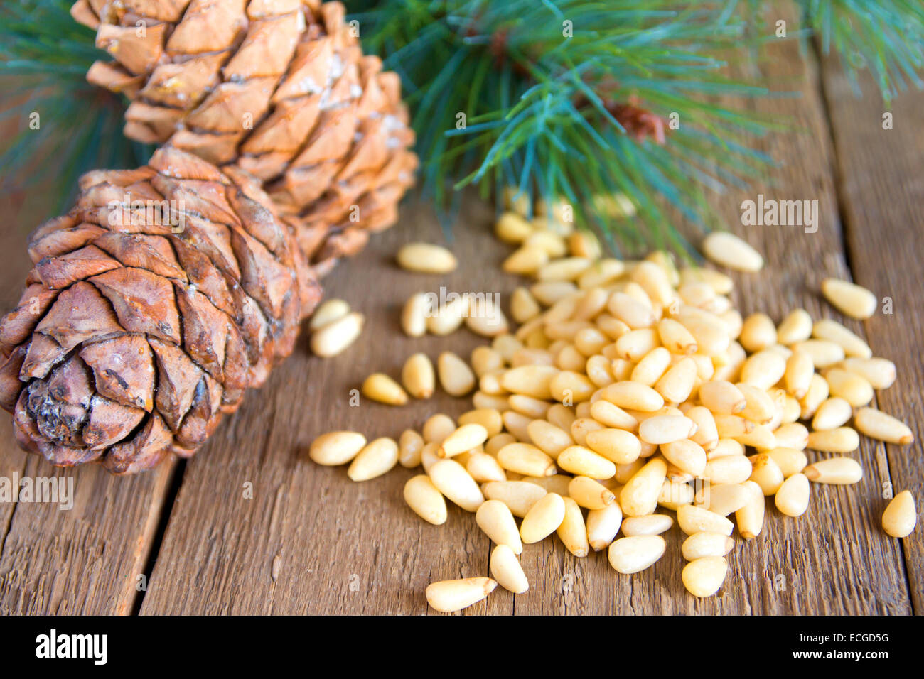 Pile of pine nuts with cones close up on rustic wooden background ...