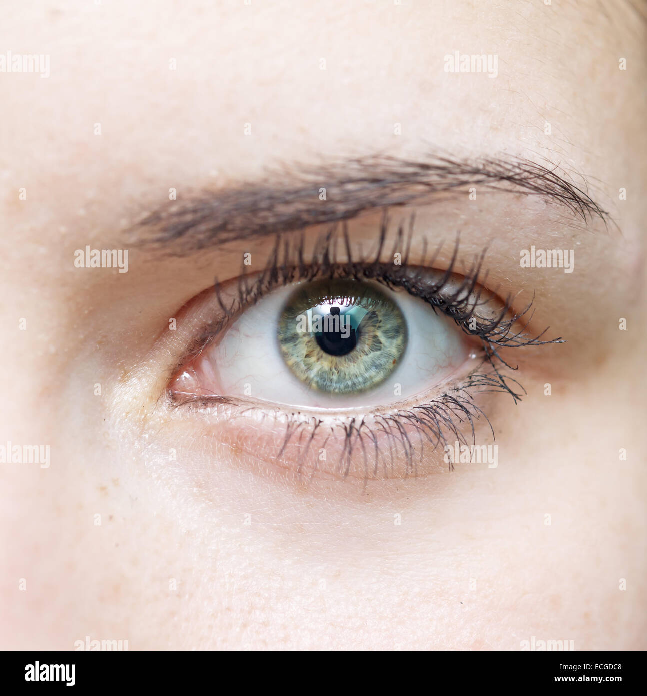 Close up attractive woman watching hi-res stock photography and images ...