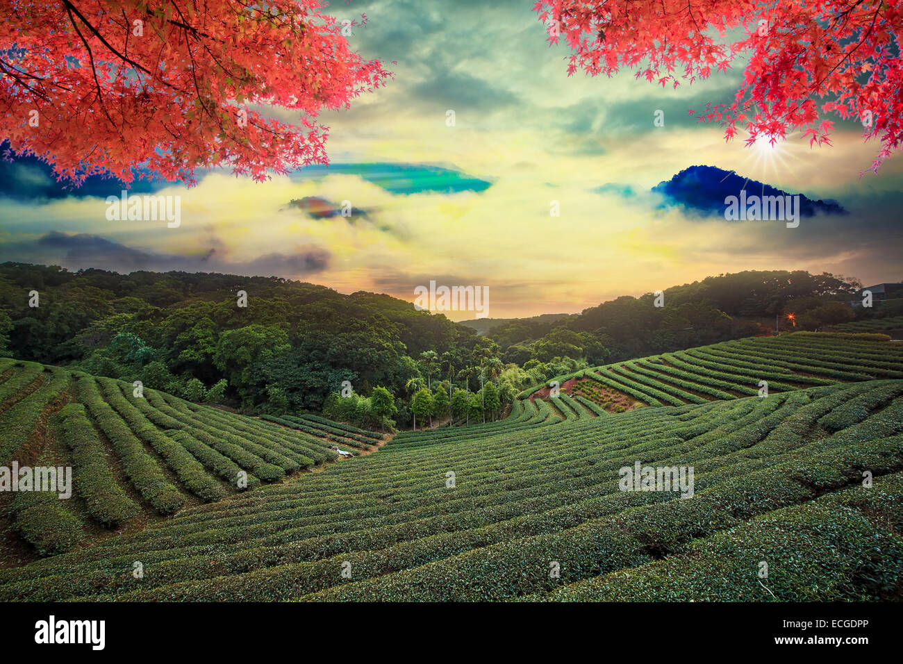 Image of beatiful landscape, Taiwan for adv or others purpose use Stock ...