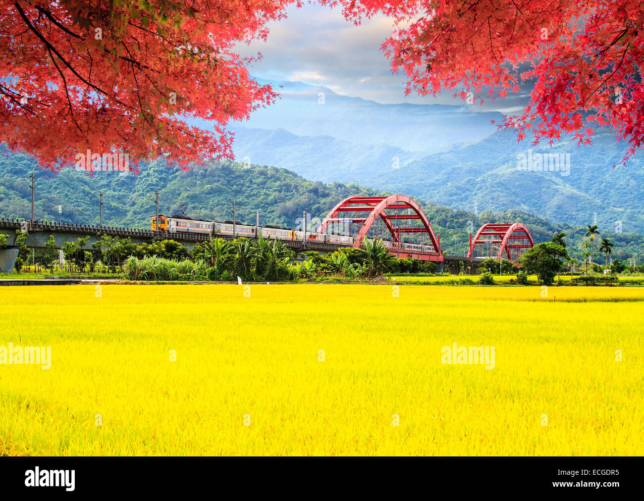Image of beatiful landscape, Taiwan for adv or others purpose use Stock ...