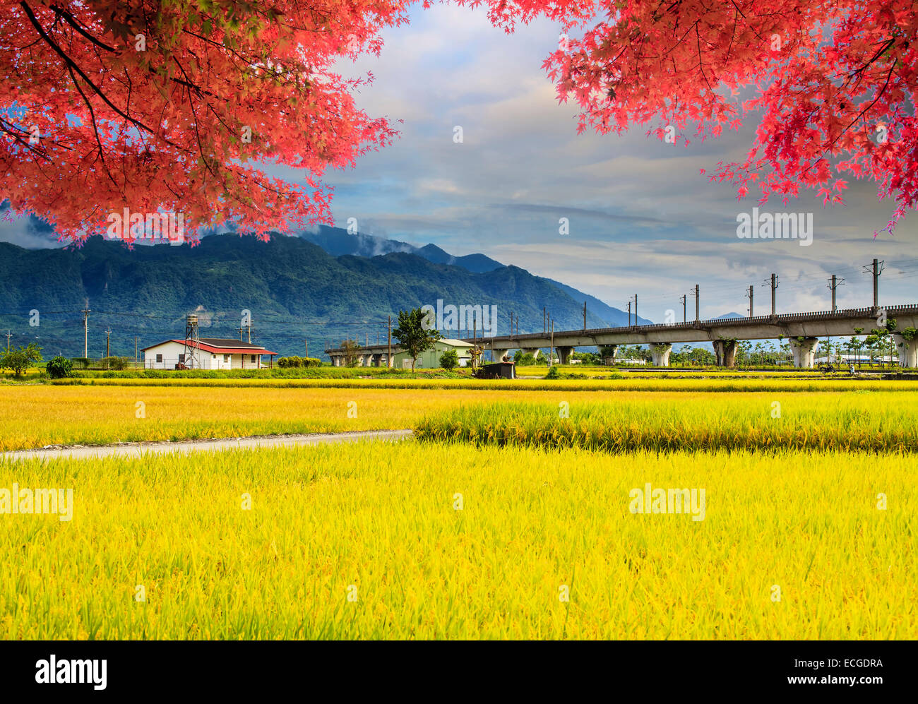 Image of beautiful landscape, Taiwan for adv or others purpose use ...