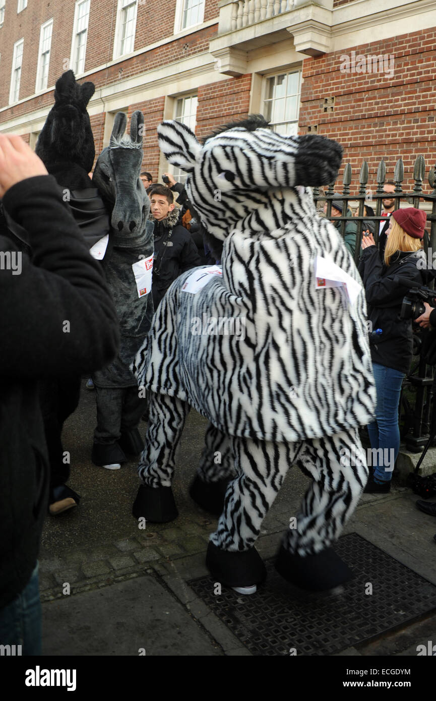 London, UK. 14th December, 2014. Pantomime horses race. Greenwich ...