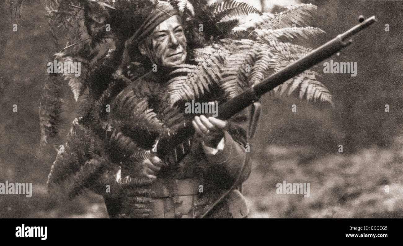A sniper during World War One Stock Photo - Alamy