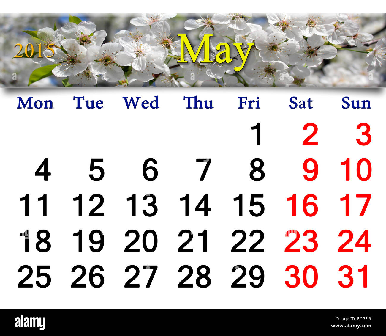 calendar for May of 2015 year with white blooming cherry Stock Photo ...