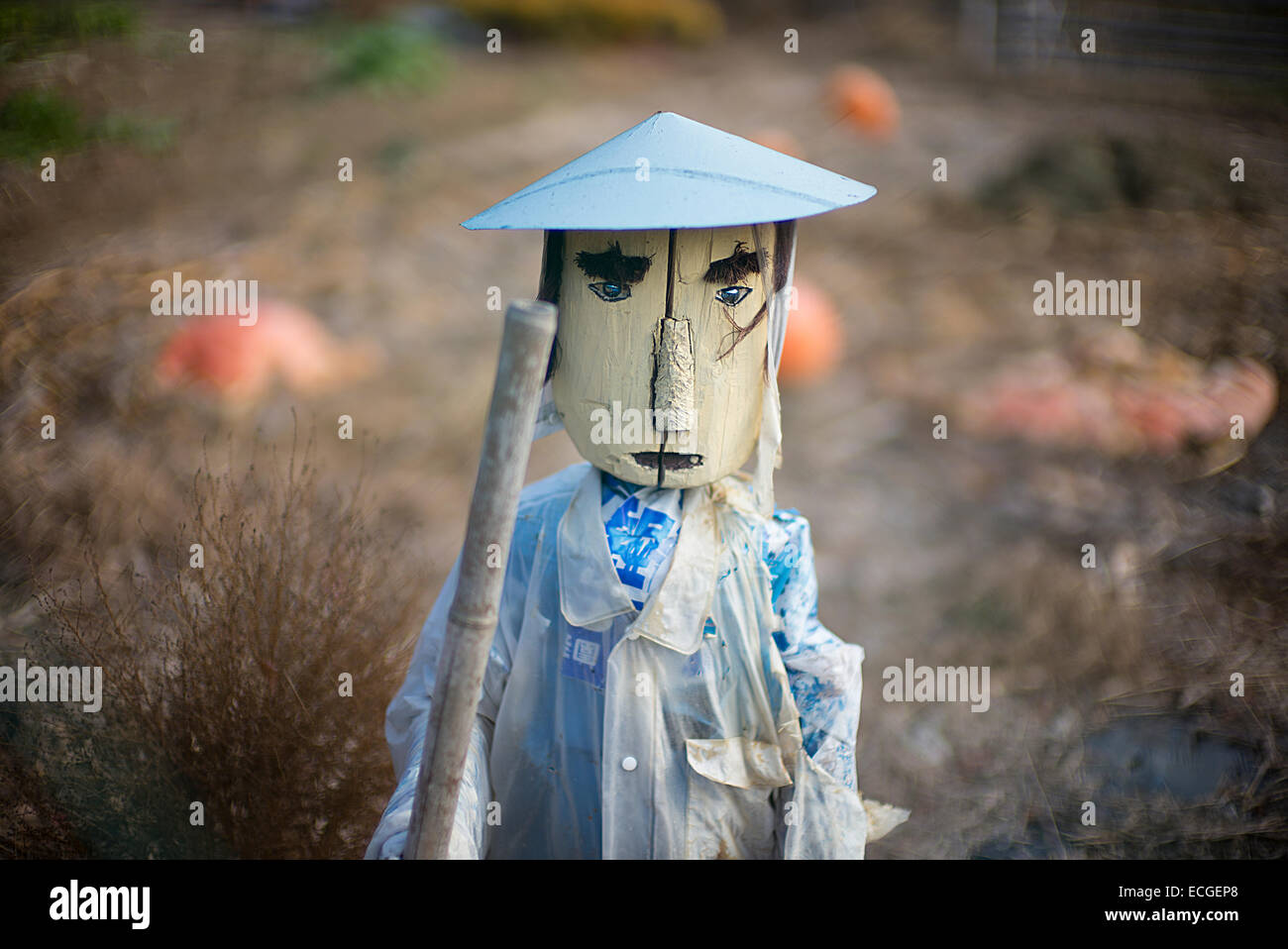 Japanese scarecrow hi-res stock photography and images - Alamy