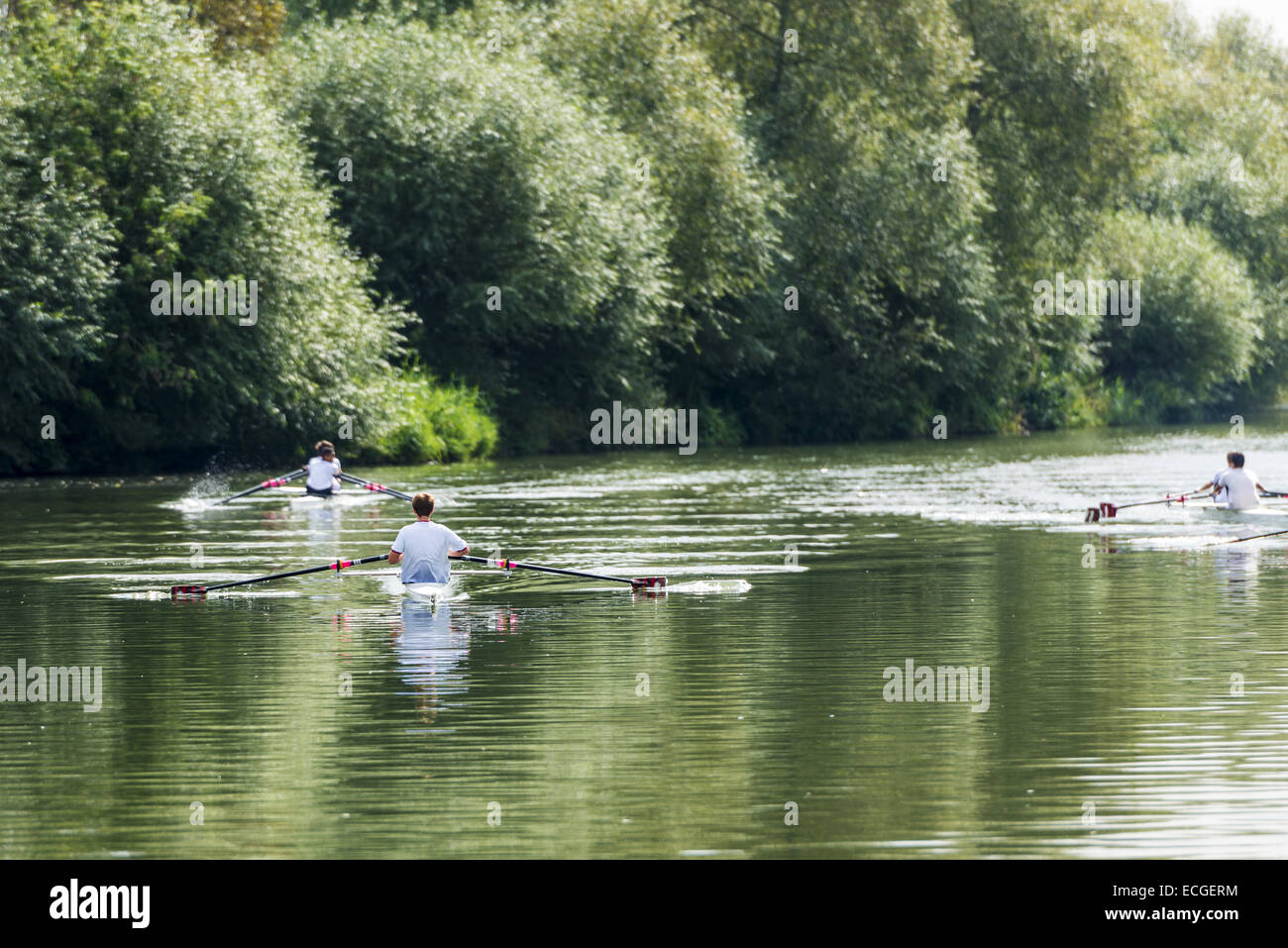 Young male students in Oxford rowing on the River Thames Stock Photo ...