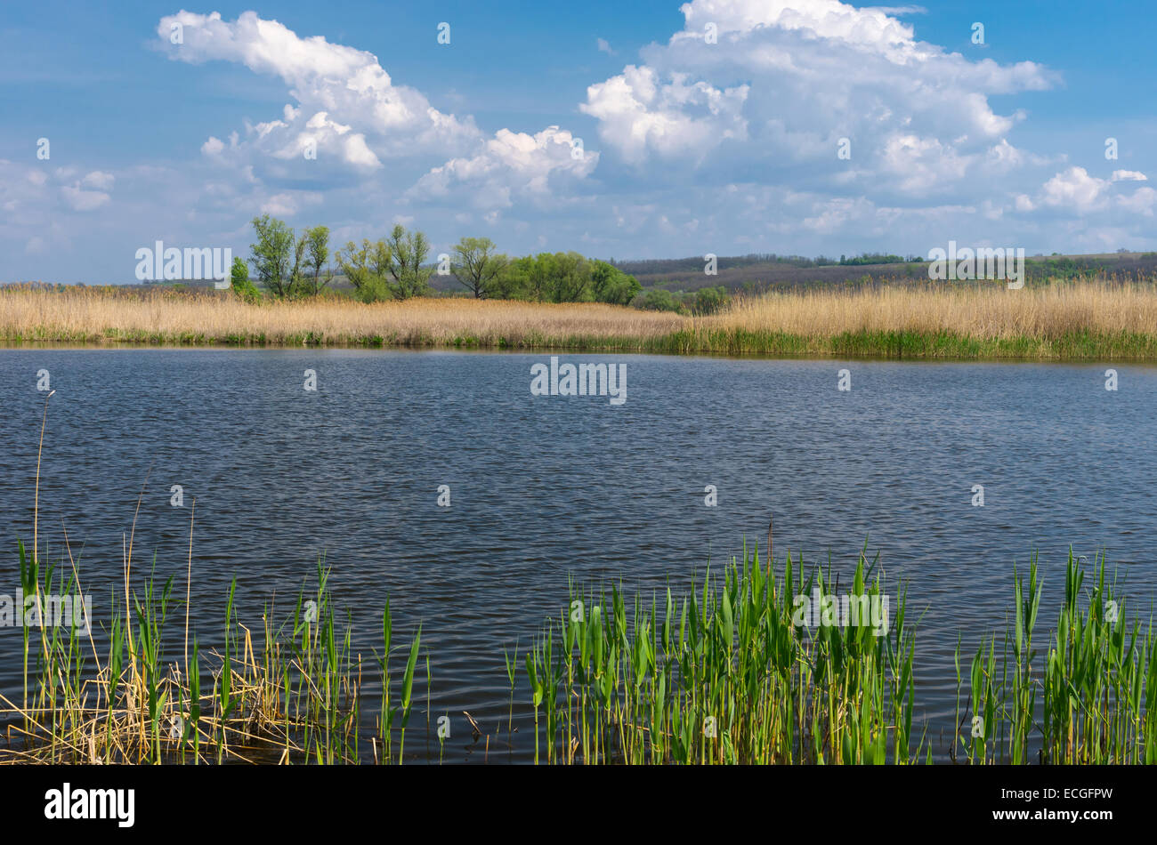 Spring landscape with small pond Stock Photo - Alamy