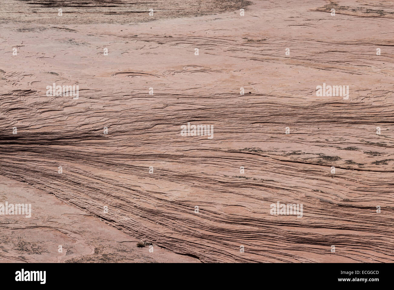 layers in the red sandstone exposed after many many years of erosion in ...