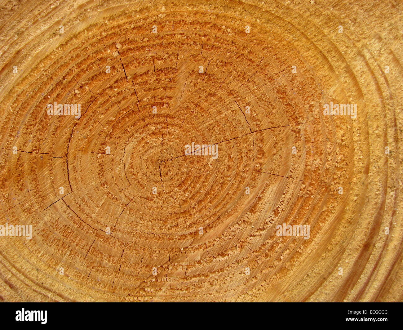 Rough sawn wood hi-res stock photography and images - Alamy
