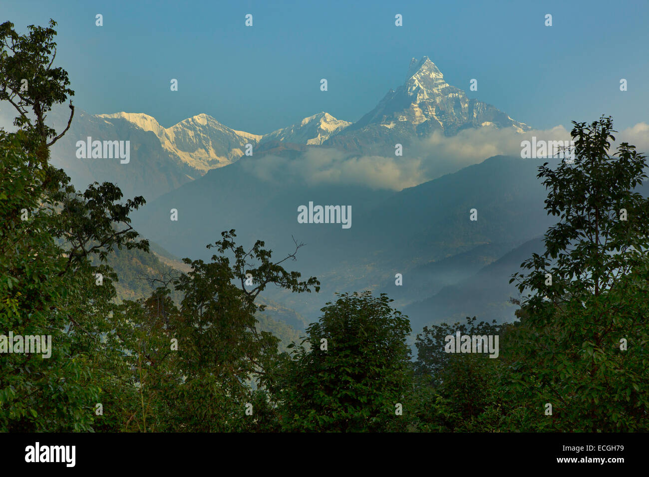 Annapurna snow peaks hi-res stock photography and images - Alamy