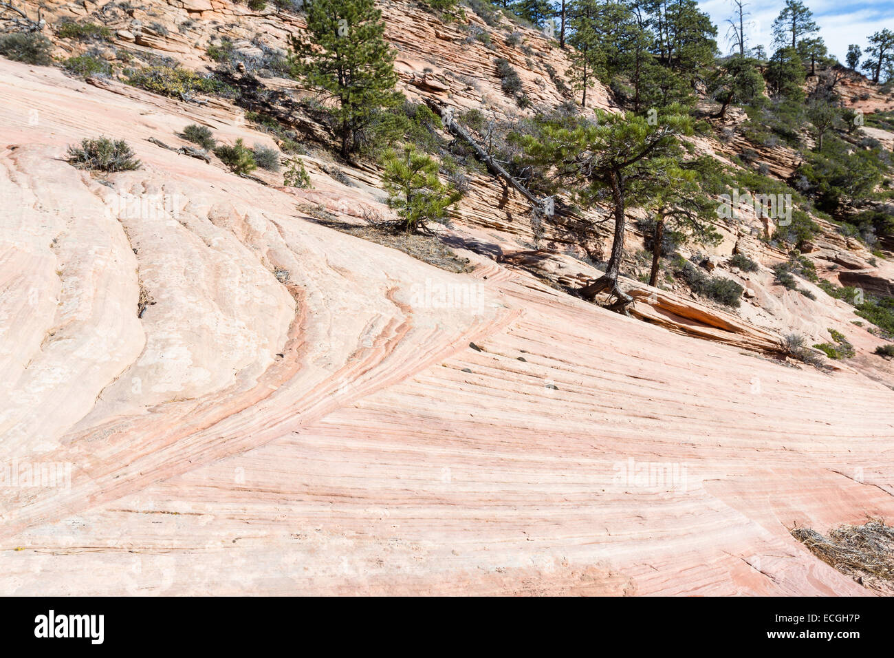 layers in the red sandstone exposed after many many years of erosion in ...