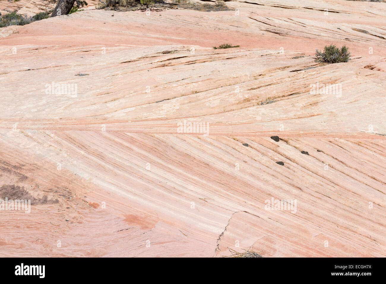 layers in the red sandstone exposed after many many years of erosion in ...