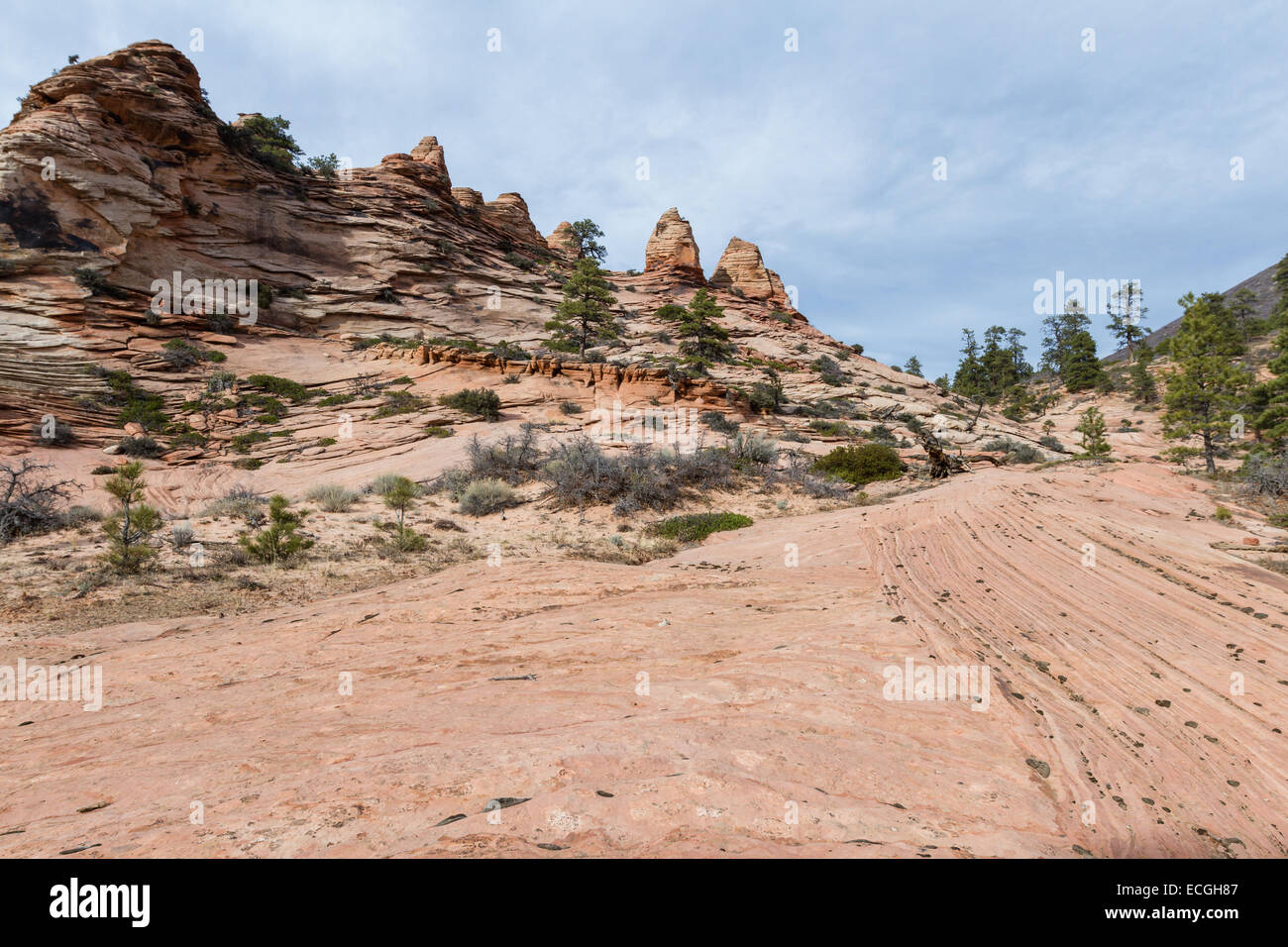 layers in the red sandstone exposed after many many years of erosion in ...