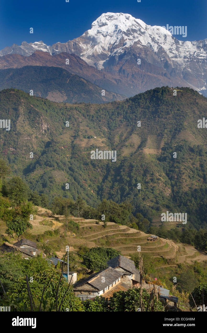 The Mountain Annapurna and Machhapuchchhre or Fishtail Mountain from ...