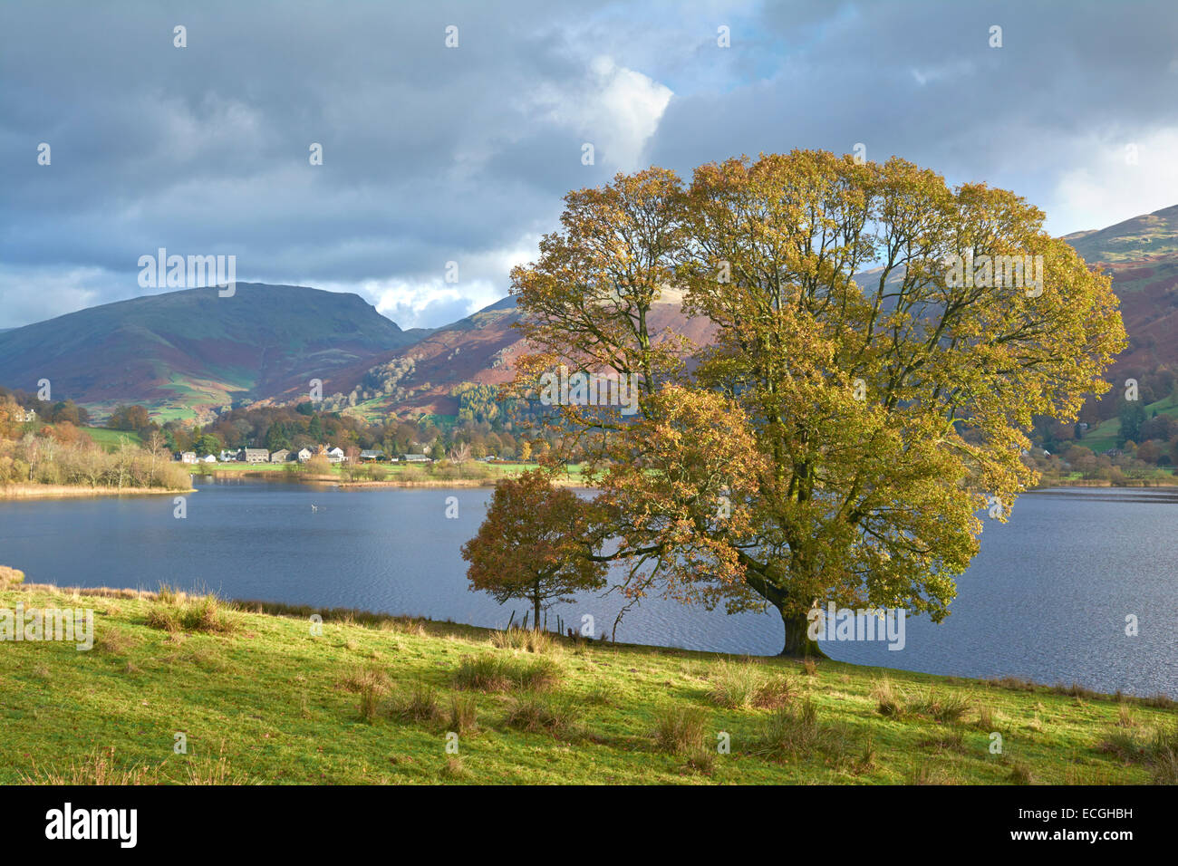 Autumn at Grasmere, Lake District, England, UK Stock Photo - Alamy