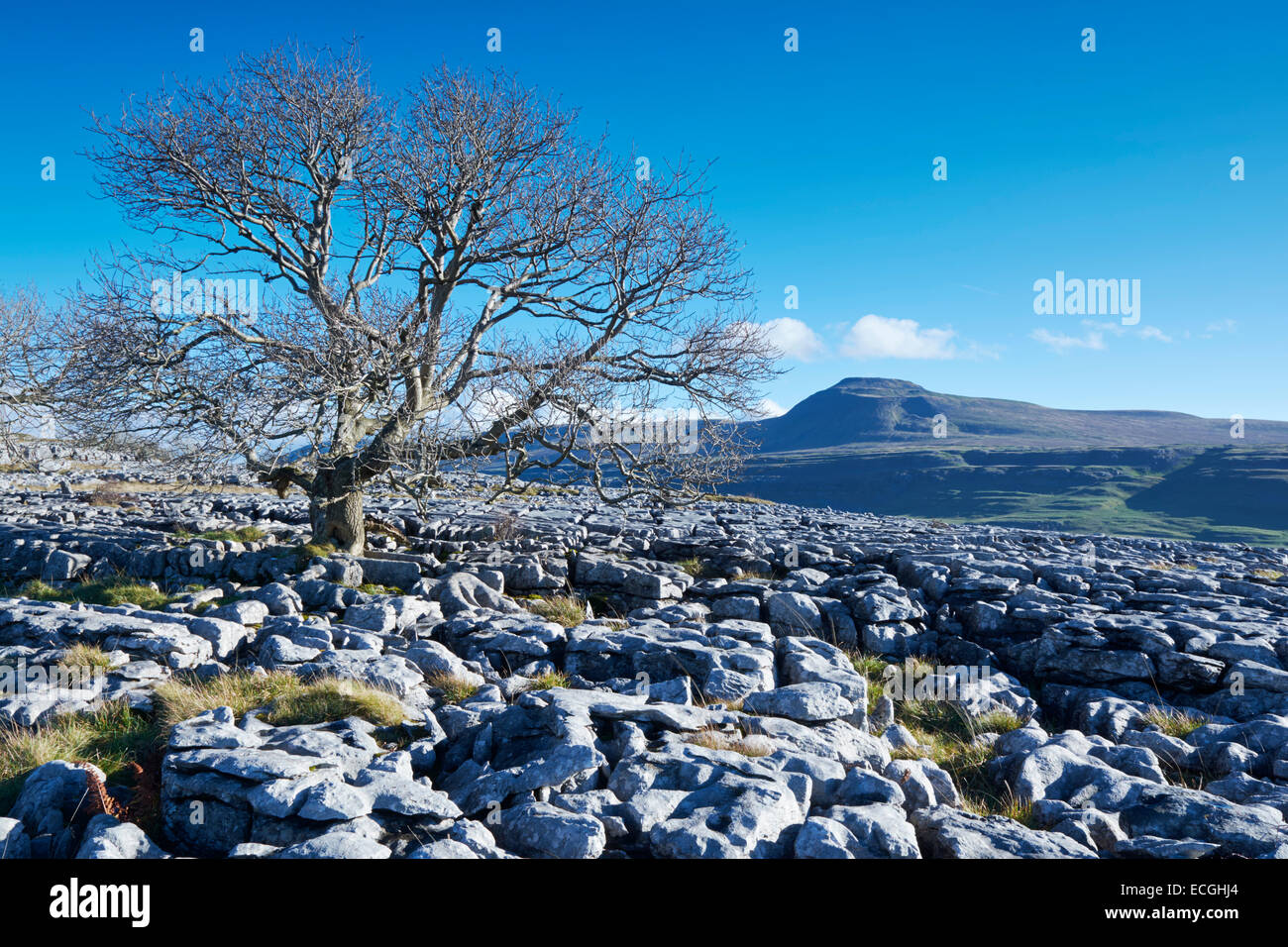 Yorkshire panoramic limestone hi-res stock photography and images - Alamy